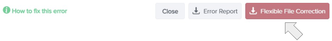 Flexible File Correction Guide – PensionSync